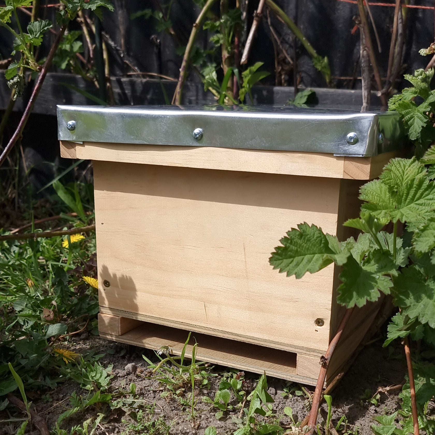 Bumble Bee Nesting Box – Gentle Bee Co